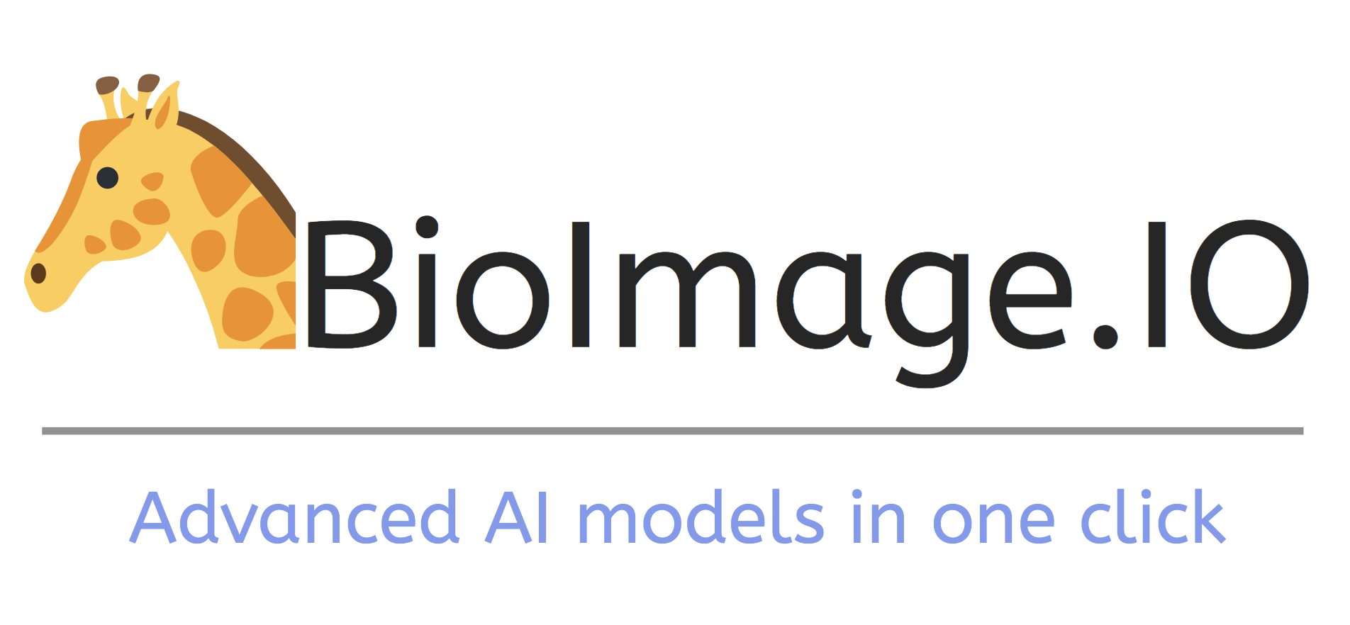 Bioimageio